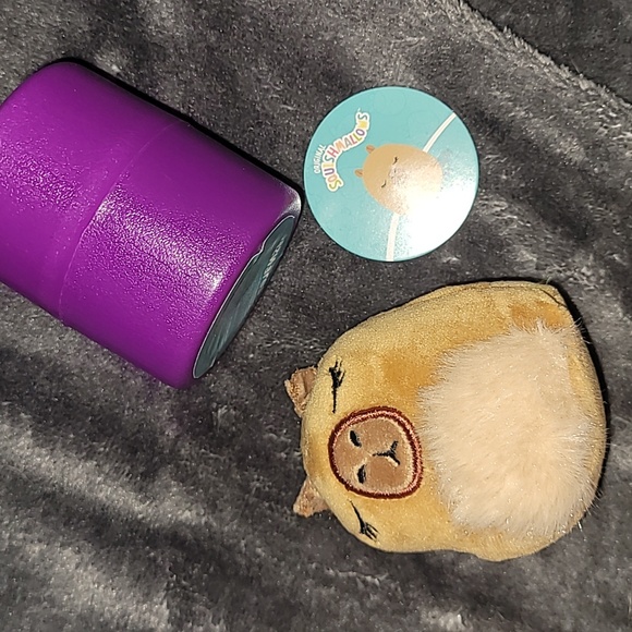 Squishmallows | Toys | Lijjian The Capybara Micromallow Squishmallow ...